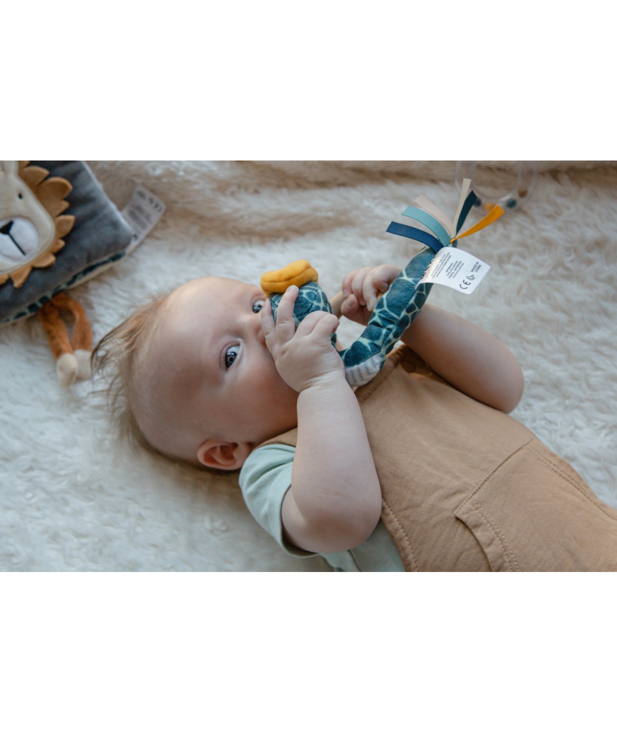 Snake Steve Wooden Teether