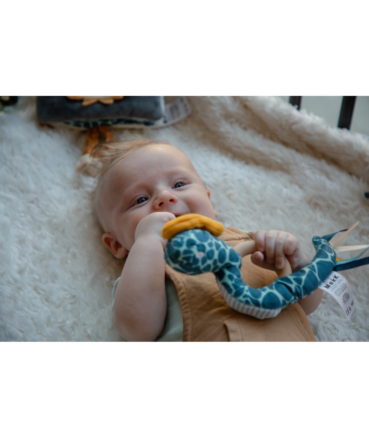 Snake Steve Wooden Teether